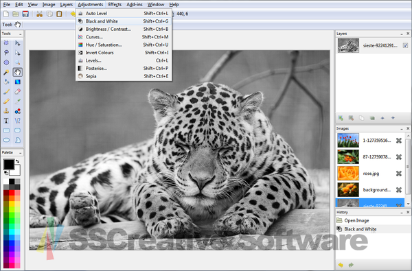 Pinta Image Editing - Payhip