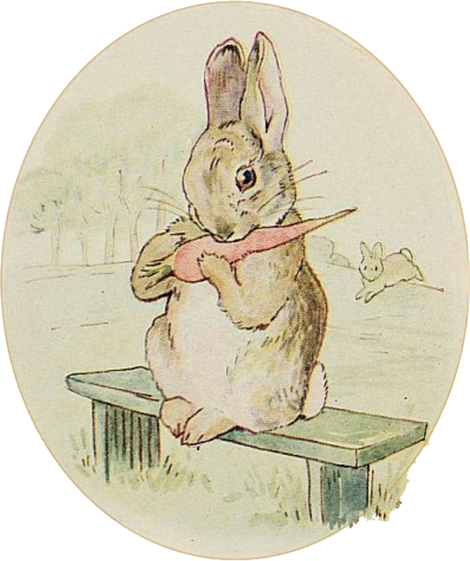 THE STORY OF A FIERCE, BAD RABBIT - Book 09 in the Tales of Peter ...