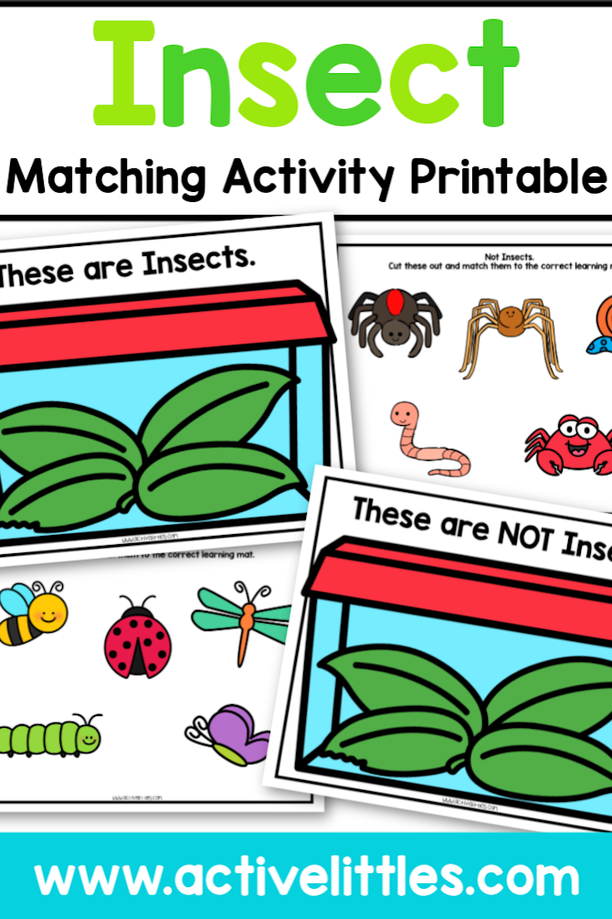 Insect Matching Activity Printable - Active Littles - Payhip