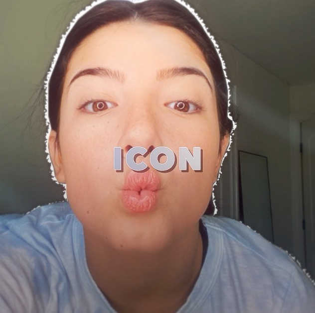 Project File - Icon ♡ - Payhip