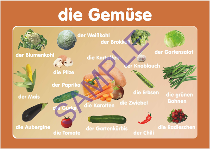 Vocabulary Vegetables Poster in German. A3 size. Primary German - Payhip